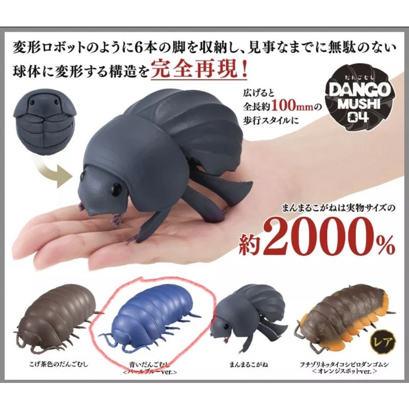 กาชาปองแมลง BANDAI Gashapon Dango Mushi 04 Pill Bug Roly Poly Figure ...