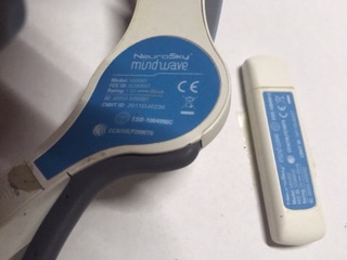 NeuroSky MindWave – EEG Brain Wave Headset (used) | Shopee Thailand