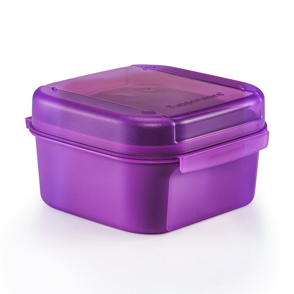 Tupperware Mini Signature Line 450ml กระปุกทัพเพอร์แวร์อเนกประสงค์ ...