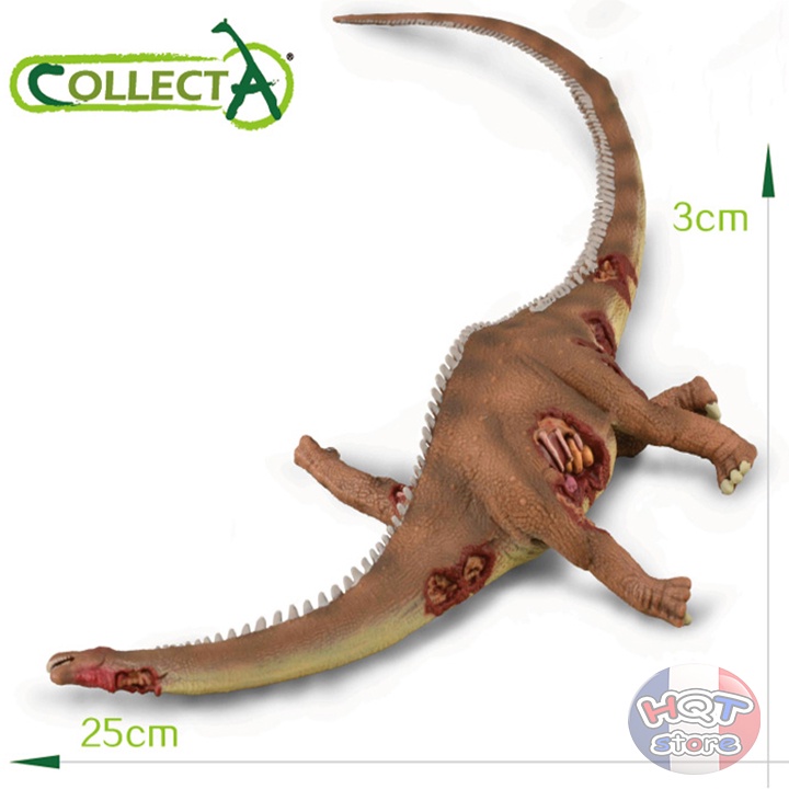 โมเดลร ่ างกายไดโนเสาร ์ Brontosaurus Corpse CollectA | Shopee Thailand