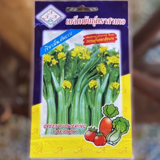 ผักกาดกวางตุ้ง (Green flowering pak choy) กวางตุ้งดอกฮ่องกง | Shopee ...