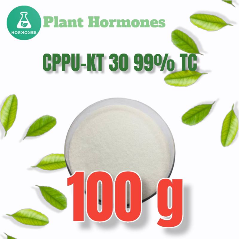 CPPU KT-30 99%Tc (Forchlorfenuron)ซีพีพียู CPPU ไซโตไคนิน 100g | Shopee Thailand