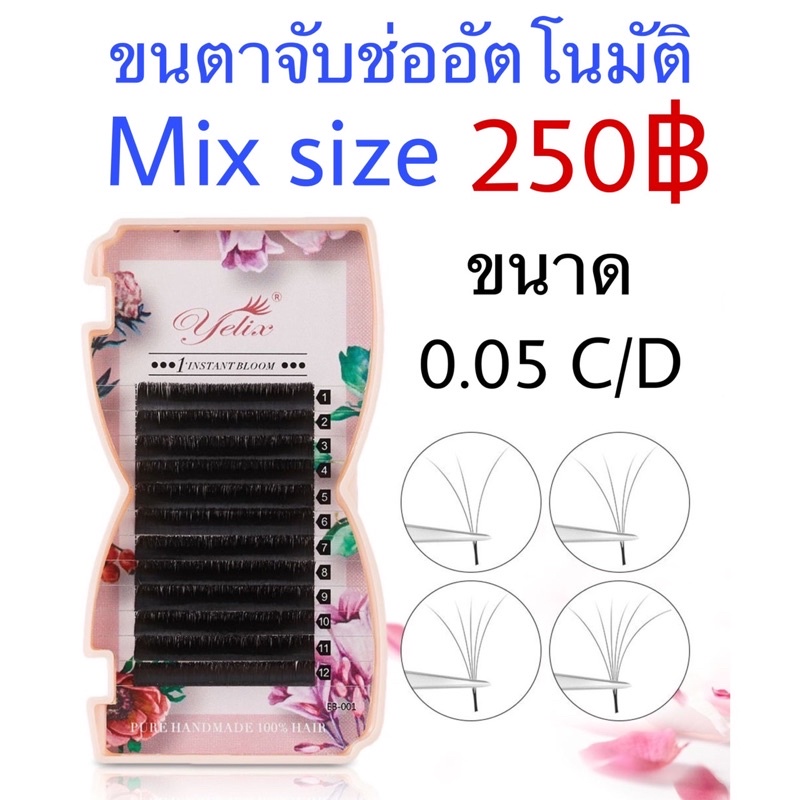 ขนตาจับช่ออัตโนมัติ จับช่อ 2D 3D 4D 5D 6D ขนตาช่อ ขนตาจับช่อ | Shopee ...
