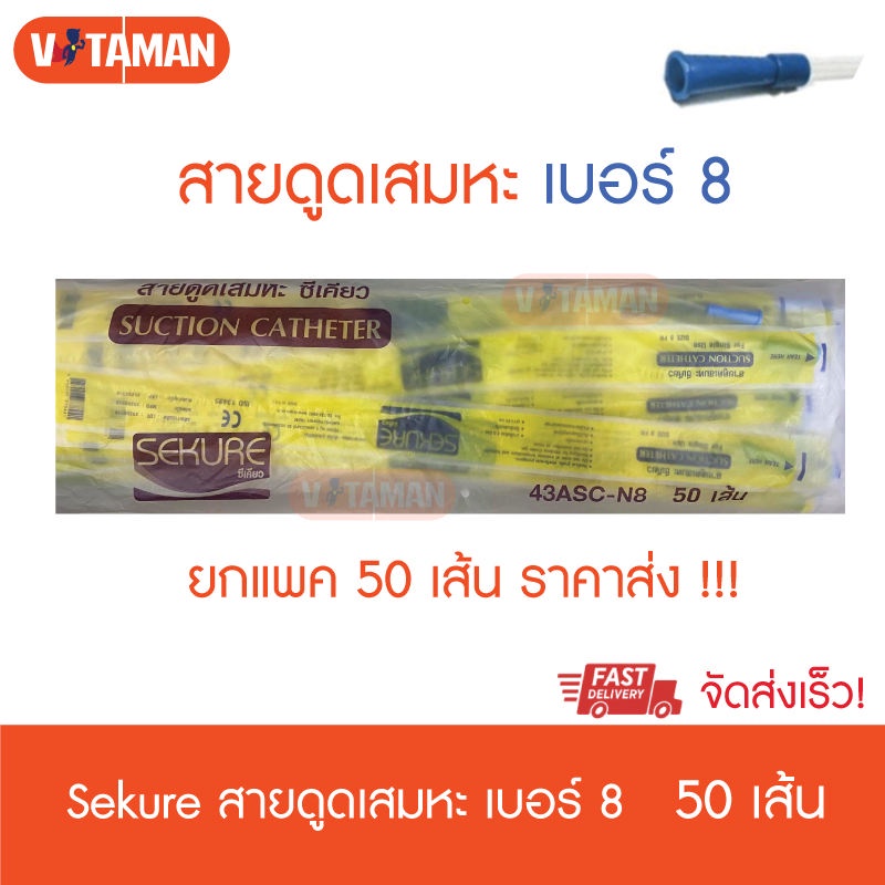 20 ชุดแรก Sekure suction สายดูดเสมหะ เบอร์ 8 FR (50เส้น) (ซีเคียว) แบบ ...