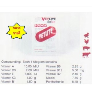 Vetlite วิตามิน เอดีสามอี เค และ วิตามินบี ช่วยเสริมภูมิ คลายเครียด ...