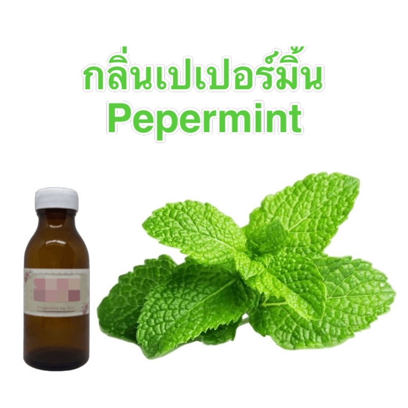 Fragrance Oil กลิ่นเปเปอร์มินท์ Pepermint | Shopee Thailand