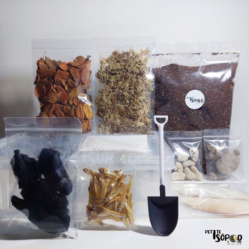 ชุดพร้อมเลี้ยงไอโซพอด (กล่องกลาง) Isopod Box Set (Medium) | Shopee Thailand