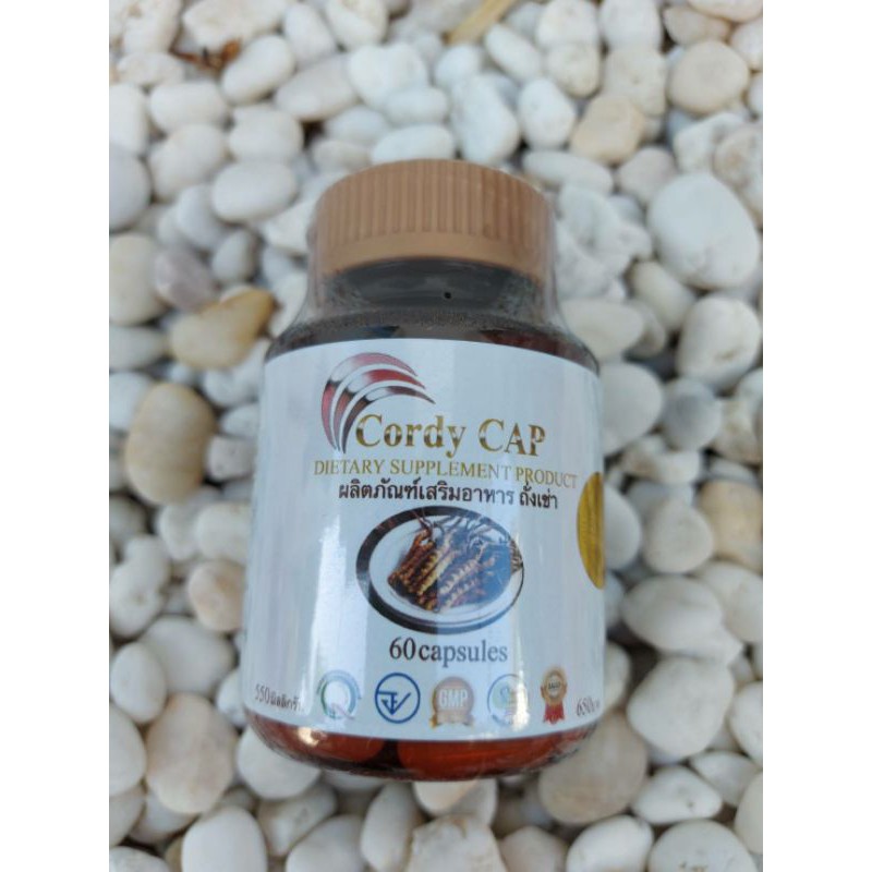 Cordy Cap วิตามินเสริมจากถั่งเช่า | Shopee Thailand