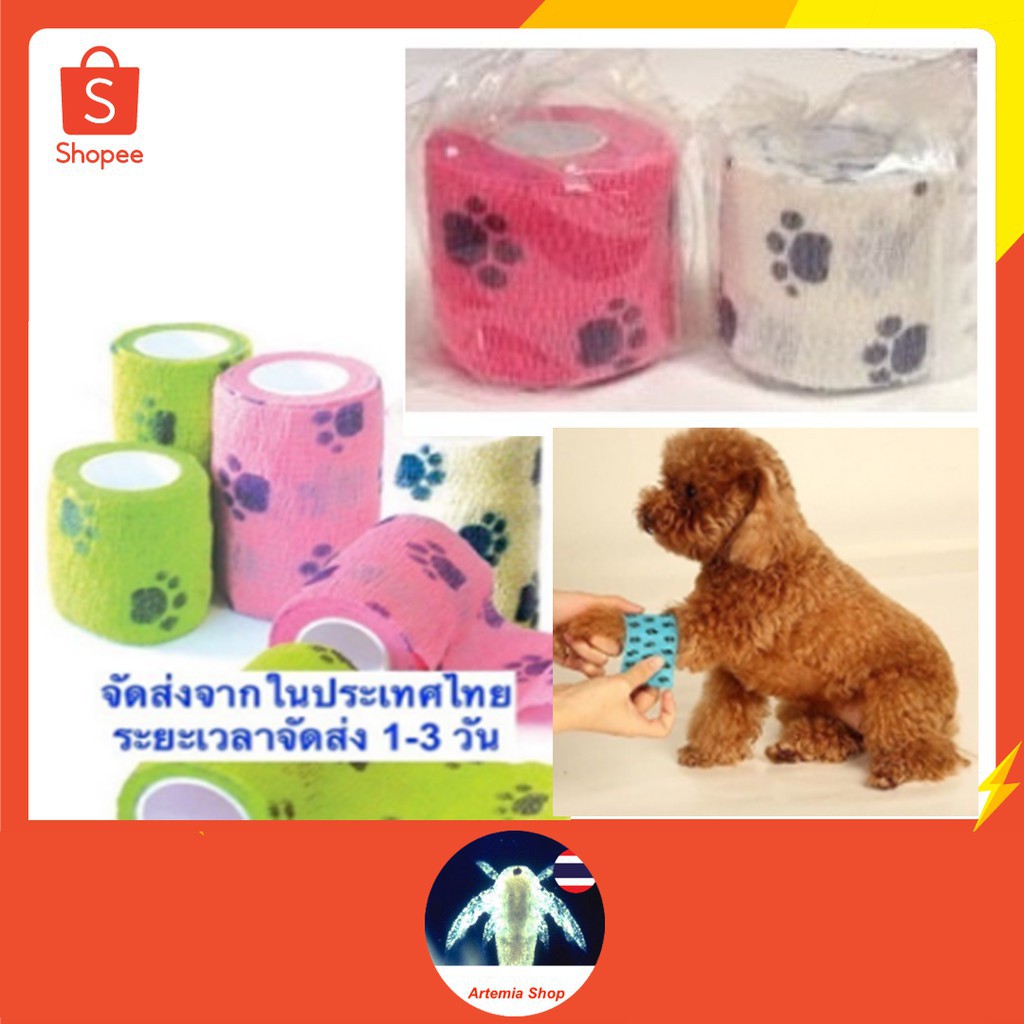 AG Coband 2 นิ้ว ผ้าพันแผล สัตว์เลียง แบบยืดหยุ่น คละสี | Shopee Thailand