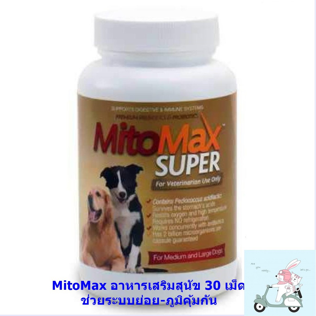 Mito max Super medium-large dog อาหารเสริมสุนัขช่วยระบบย่อยอาหารและ ...