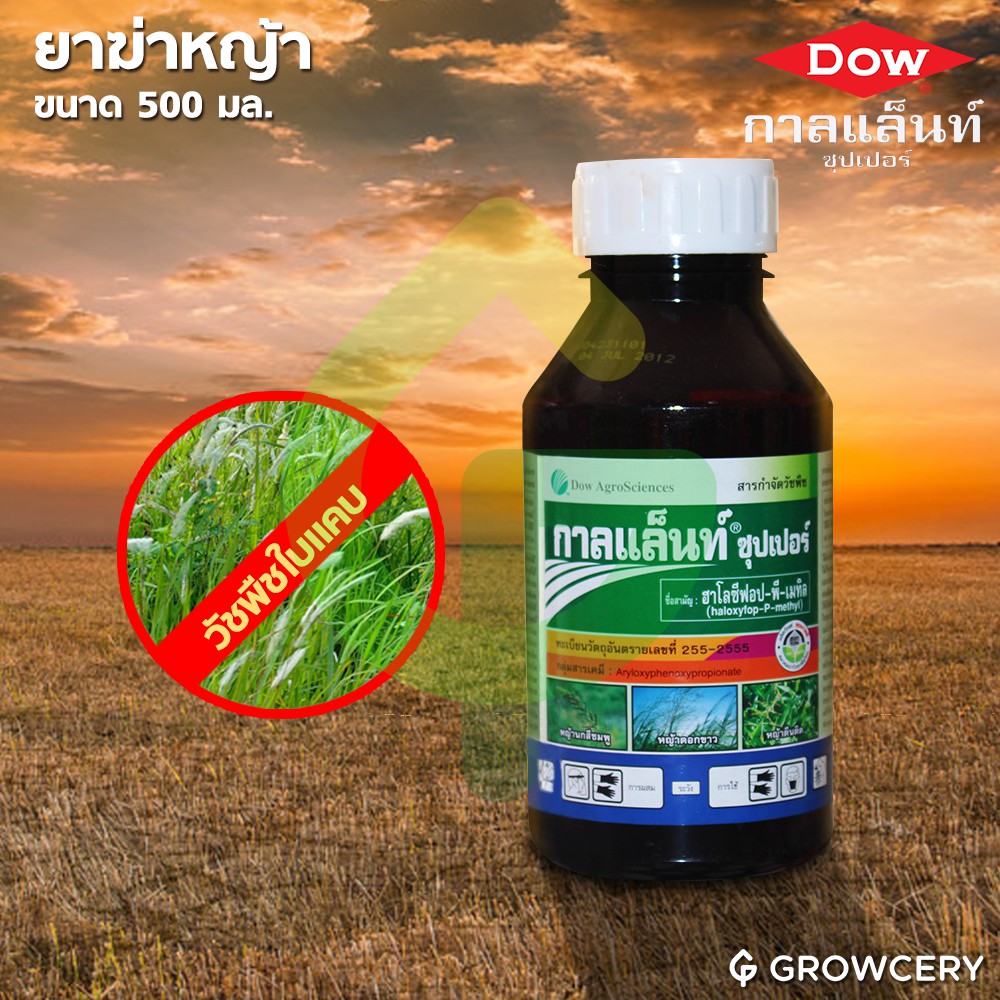 [G] กาลแลนท์ ยากำจัดวัชพืช สารกำจัดวัชพืช ขนาด 500 มล. ยี่ห้อ DOW (ใช้กำจัดวัชพืชใบแคบ) โดย ...