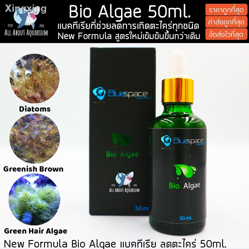New Formula Bio Algae แบคทีเรียชนิดพิเศษ ที่ช่วยลดการเกิดตะไคร่ทุกชนิด ...