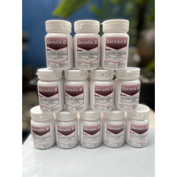 ฮอร์โมนเร่งราก Seradix B เซราดิกซ์-บี | Shopee Thailand