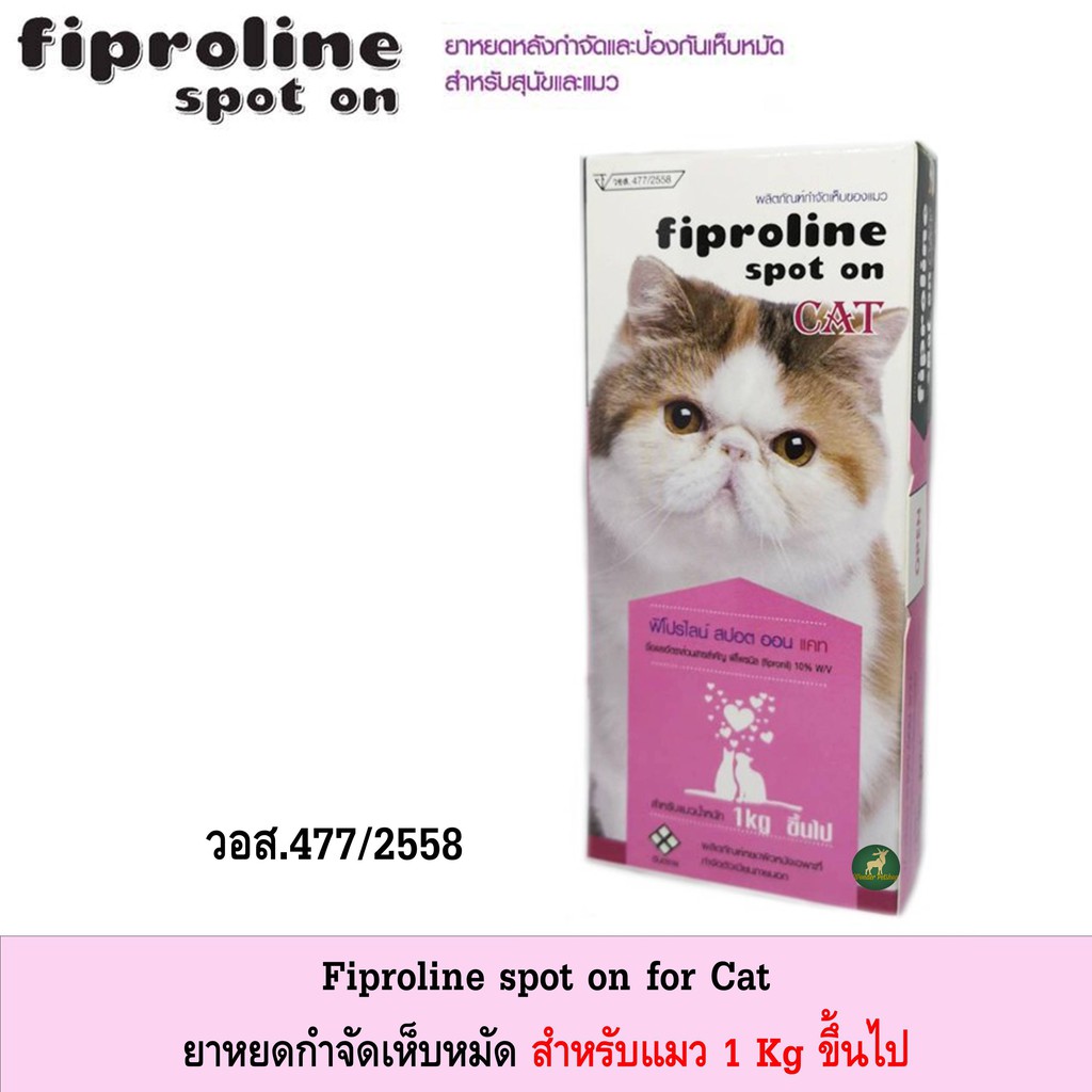 fiproline for cat ยาหยดกำจัดเห็บ หมัด สำหรับแมว | Shopee Thailand