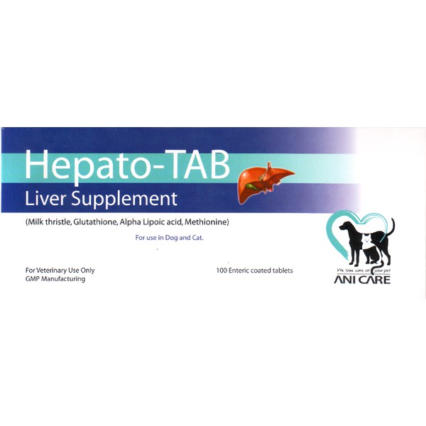 Hepato Tab วิตามินบำรุงตับสำหรับสุนัขและแมว (1 แผง / 10 เม็ด) | Shopee ...