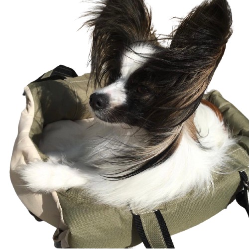 Zu&Lu กระเป๋าสัตว์เลี้ยง ZHE004 รุ่น Fluffy 2 in 1 สำหรับสุนัขและแมว ...