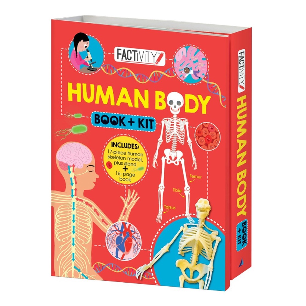 Human Body Book & Kit Boxset with Skeleton Model & Book สําหรับเด็กที่ ...