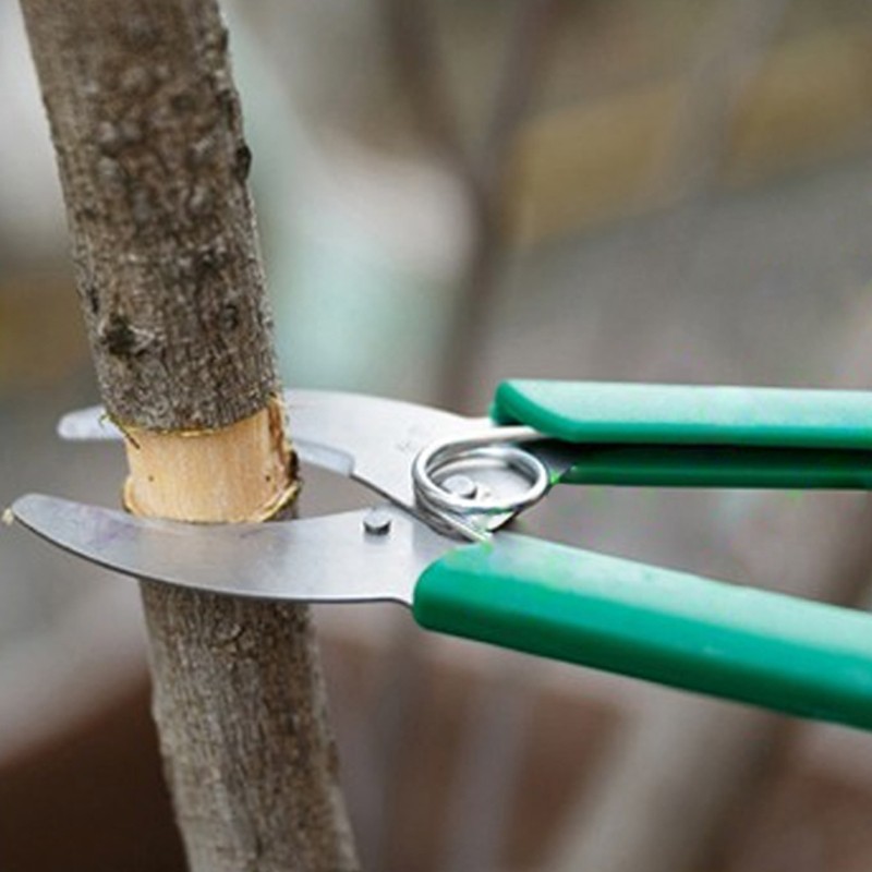 Garden Tree Branches Ring Barking Slicer Scissor Girdling Shear ...