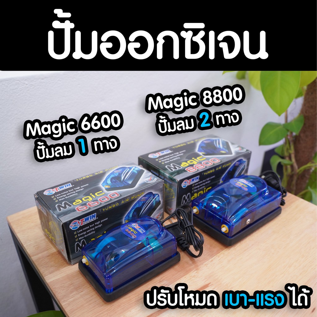 (พร้อมส่ง) ปั้มออกซิเจน ปั้มลม ยี่ห้อ Magic 6600 และ 8800 สำหรับตู้ปลา | Shopee Thailand