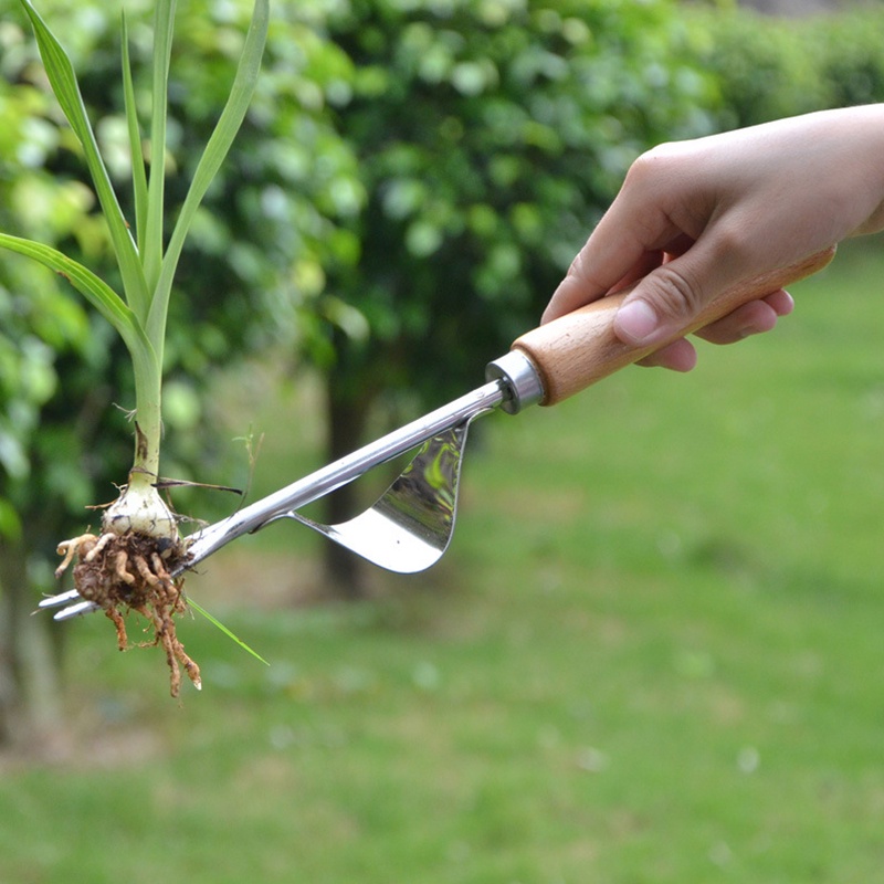 1 ชิ้นสวนสแตนเลส Root Lifter Weeder Ripper Weeding Shovel เครื่องมือ ...