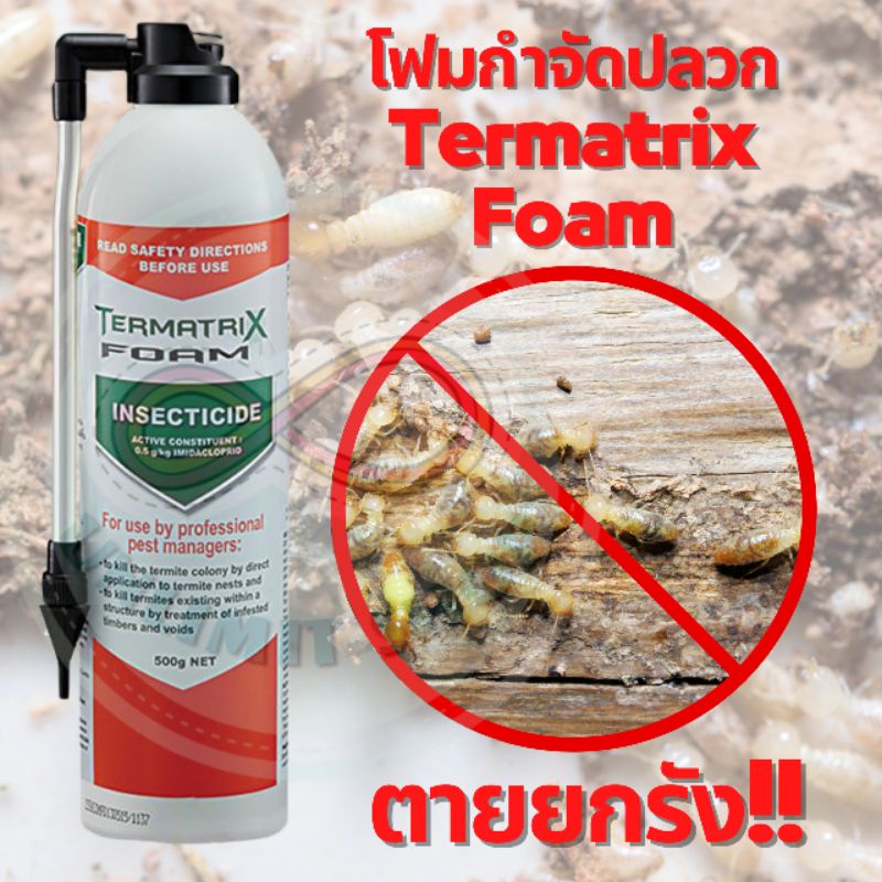 Termatrix Foam เทอร์มาทริกซ์ โฟม โฟมกำจัดปลวก ขนาด 500 กรัม | Shopee Thailand