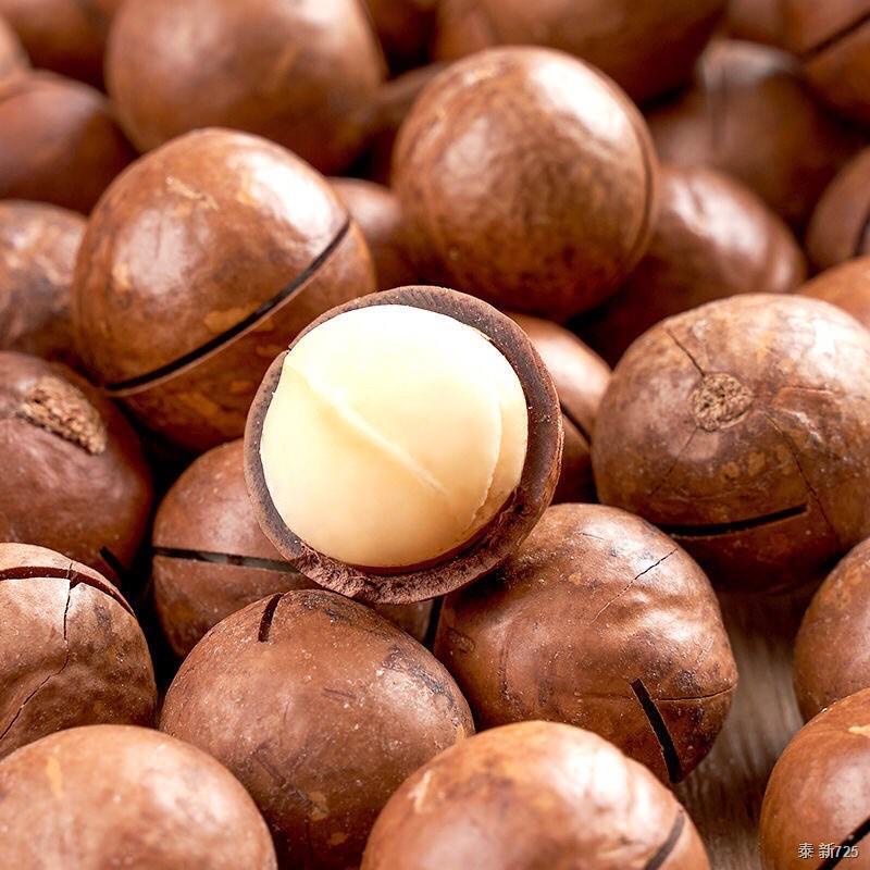⚡ถูกที่สุด⚡ แมคคาเดเมีย 500g แบบมีเปลือกเต็มเม็ด เกรดนำเข้า [ Macadamia ...