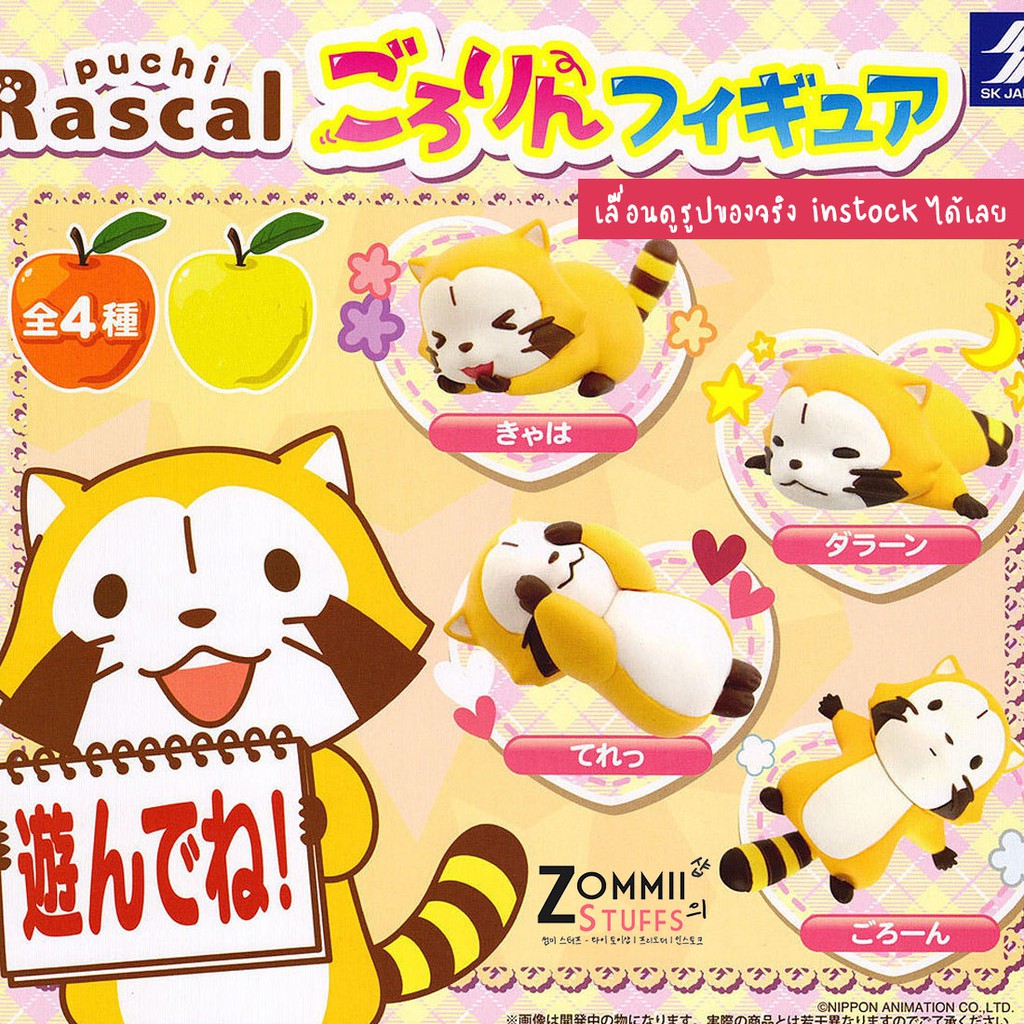 พร้อมส่ง ⚡️ GASHAPON Puchi Rascal มีรูปของจริงค่ะ กาชาปอง ปูจิ ราสคาล ...