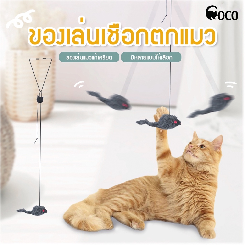 coco.pet เชือกตกแมว เชือกล่อแมว ของเล่นน้องแมว หนูตกแมว พร้อมตะขอแขวน ...