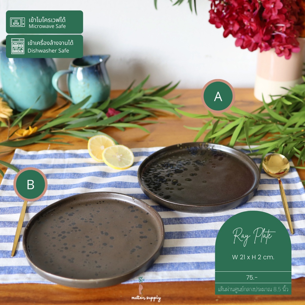 Ray plate เซรามิค จาน กลม ใส่ ยำ อาหารที่มีน้ำนิดหน่อยได้ เข้า ไมโครเวฟ ...