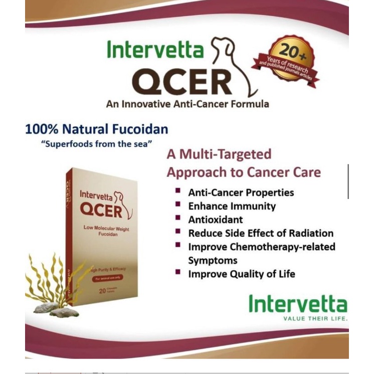 Intervetta Qcer 20 เม็ด (EXP.06/2026) อาหารเสริมต่อต้านมะเร็ง เสริมภูมิคุ้มกันและปรับสมดุลย์ ...
