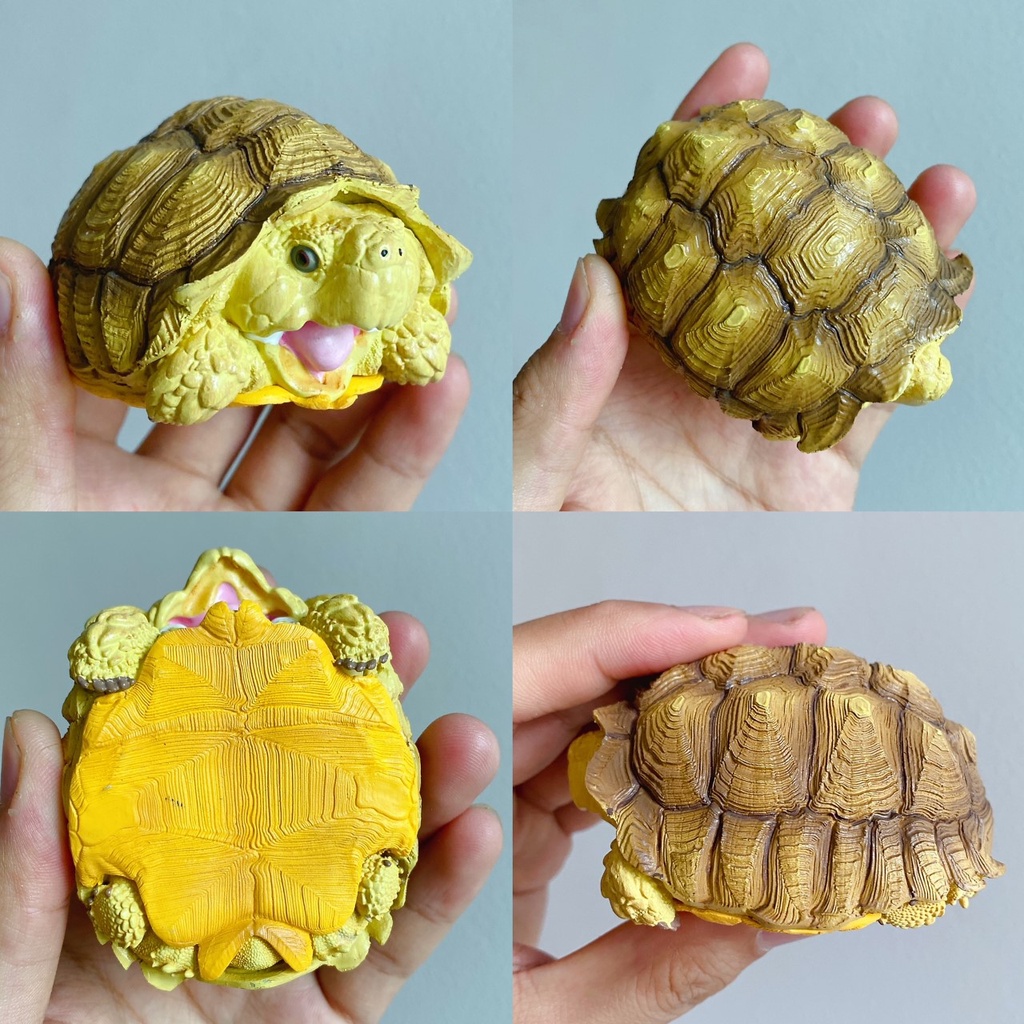 โมเดลเต่าซูลคาต้า งานเรซิ่น recast 7cm Sulcata model Mini (งานcopy ...