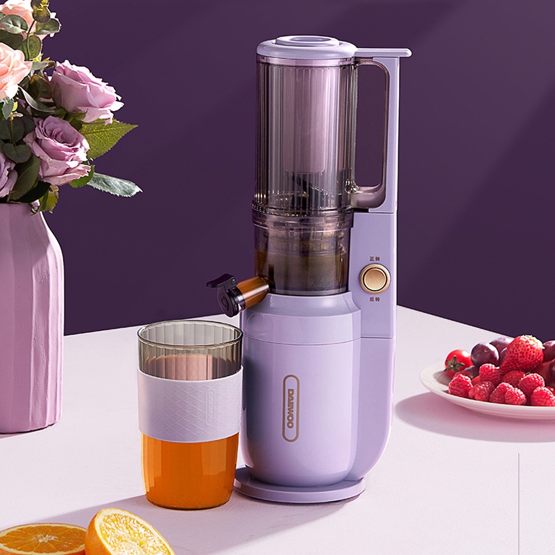 Portable Juicer Blender Fruit Vegetable Extractor Squeezer Masticating ...