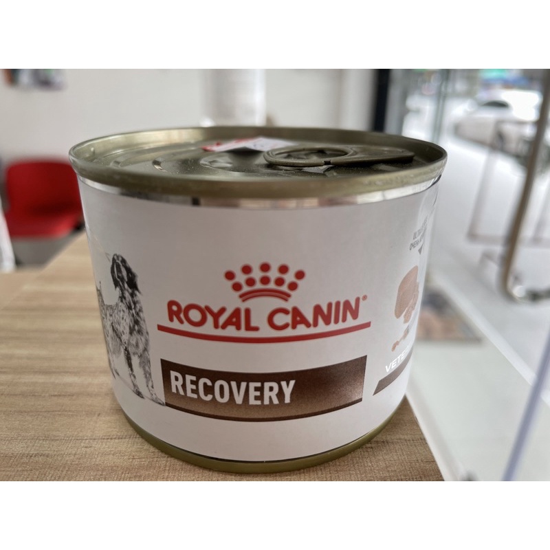 (พร้อมส่ง) อาหารเปียกสำหรับสุนัขและแมวพักฟื้น Recovery (Royal Canin ...