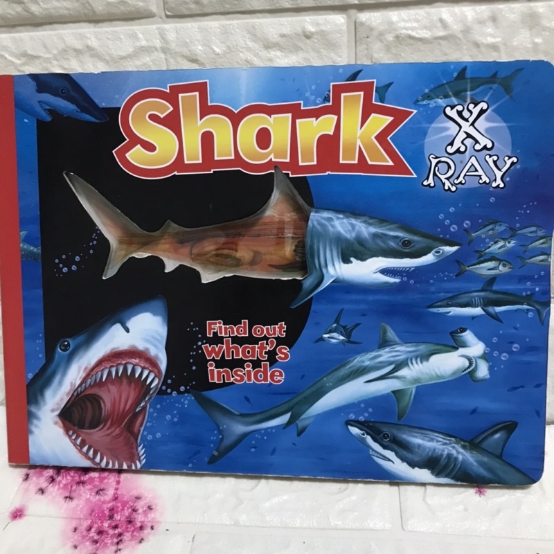 Shark X-ray Find Out What’s Inside ปกแข็ง-bi2 | Shopee Thailand