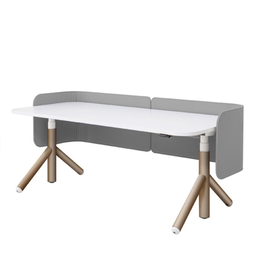 Modernform โต๊ะปรับระดับไฟฟ้า รุ่น Flex ขนาด W180XD80cm (ราคาไม่รวมฉากกั้น) | Shopee Thailand