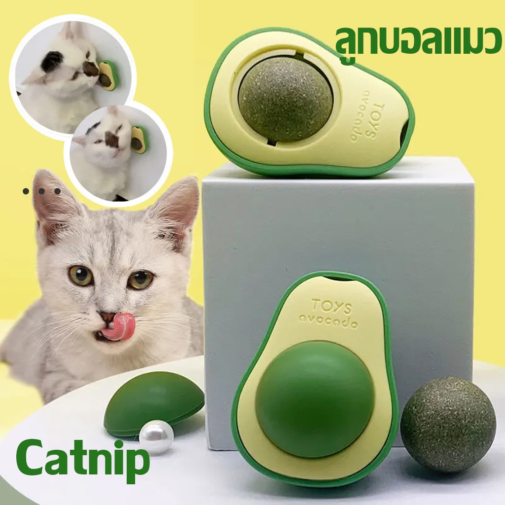 SKISOPGO พร้อมส่งจ้า Catnip กัญชาแมว ออร์แกนิค ลูกบอลแมว แคทนิป ของเล่นแมว บอลcatnip แบบเลีย แมว ...