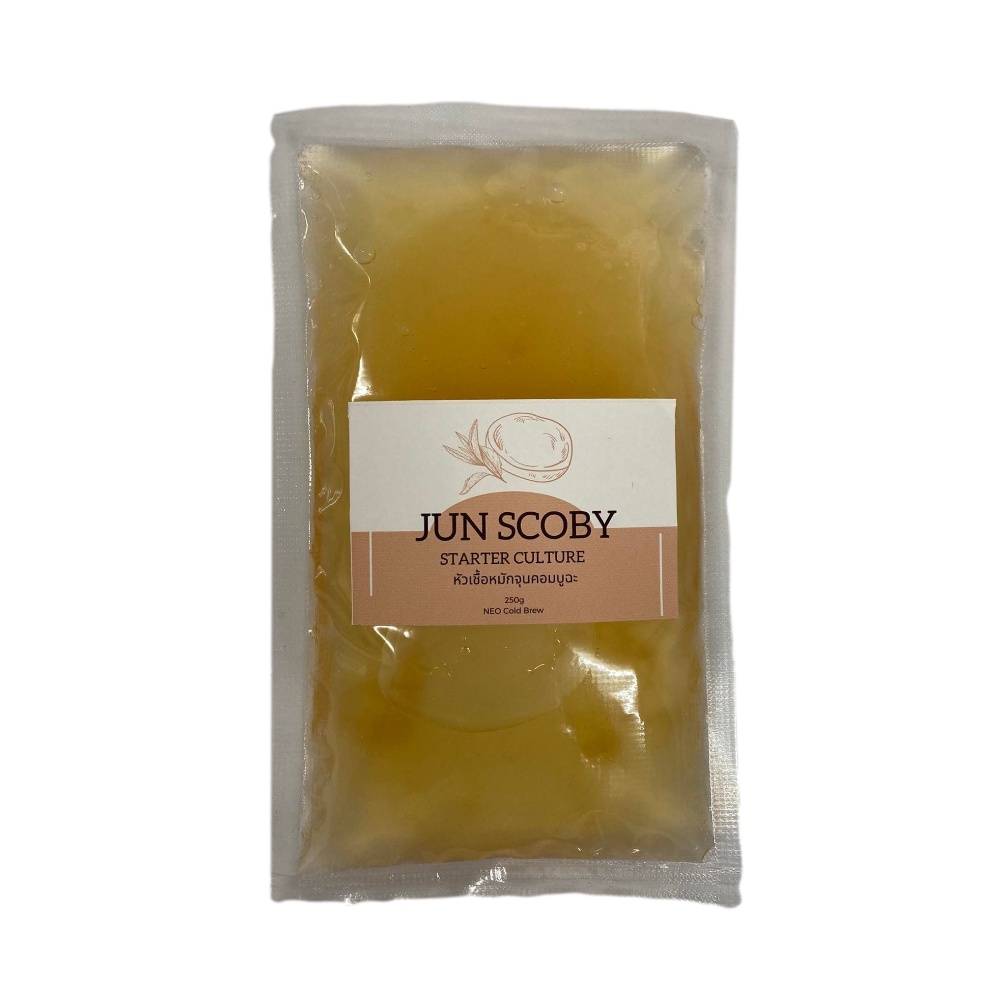 Jun Kombucha Scoby & Starter Liquid 250ml แผ่นสโคบีและน้ำตั้งต้นหมักจุ ...