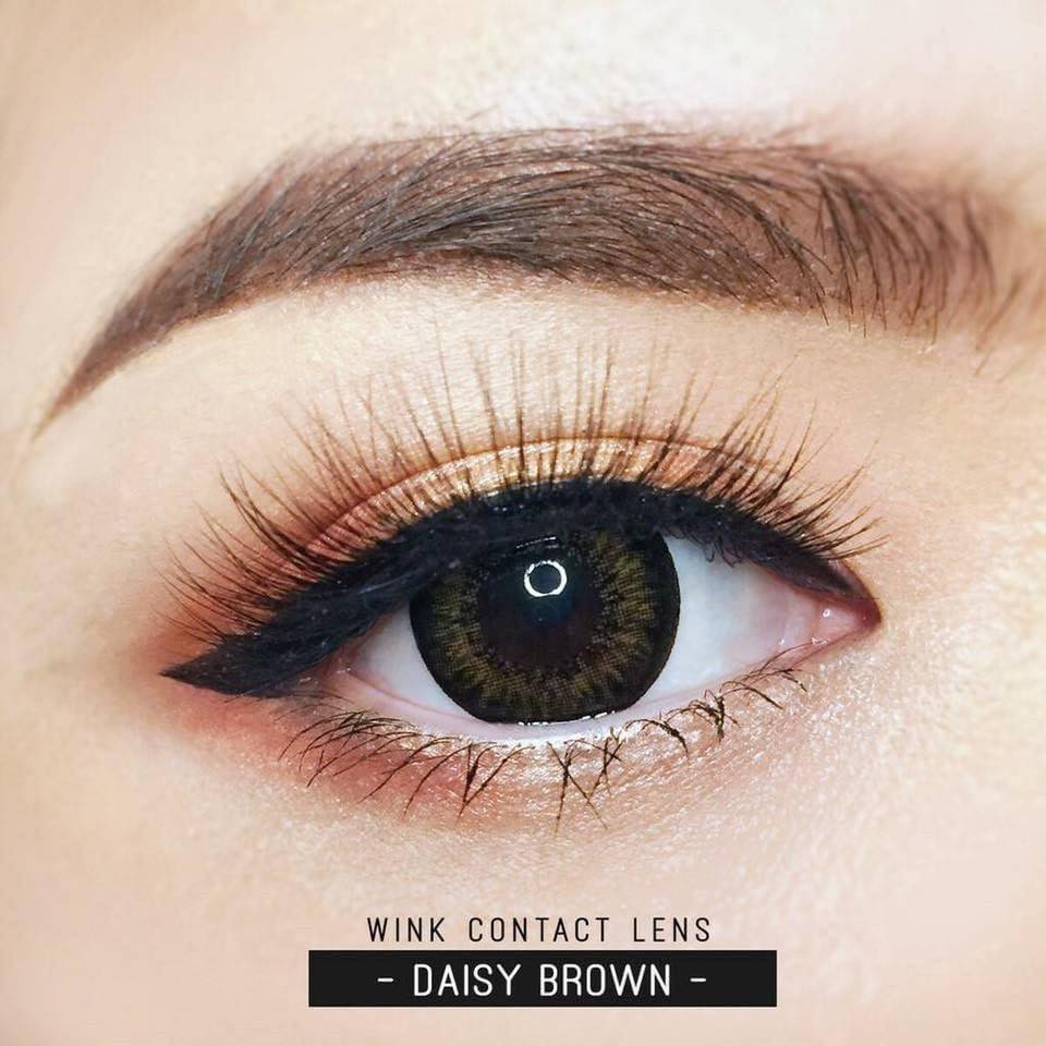คอนแทคเลนส์🌈Daisy🌈 Chestnut / Gray / Black (Wink) ขนาดบิ๊กอาย💖 | Shopee Thailand