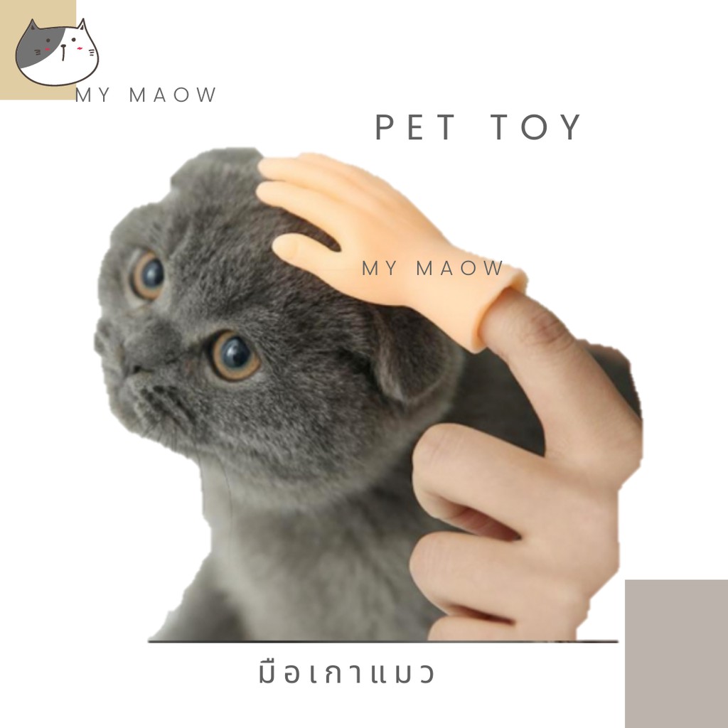 MM CAT // นิ้วเกาแมว นิ้วเกาสร้างความฟิน นิ้วเกาสัตว์เลี้ยง | Shopee ...