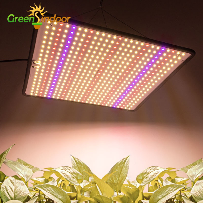 Greensindoor 1200W LED ไฟปลูกต้นไม้ SMD2835 500LEDs ไฟปลูกควอนตัมบอร์ด ...