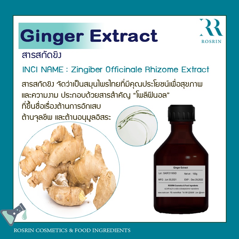 สารสกัดขิง (Ginger Extract) ขนาด 25g - 100g | Shopee Thailand
