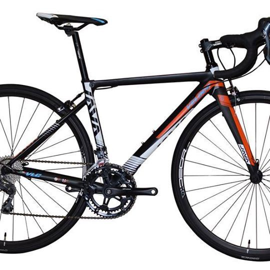 เสือหมอบ JAVA VELOCE | Shopee Thailand