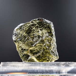 Fosseorite_Memorabilia, ร้านค้าออนไลน์ | Shopee Thailand