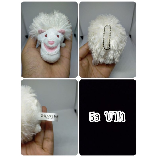 Shakurel Planet#ชากรูเรียว แพลนเน็ท#เม่น#คางทูม#เม่นคางทูม#งานพวง ...