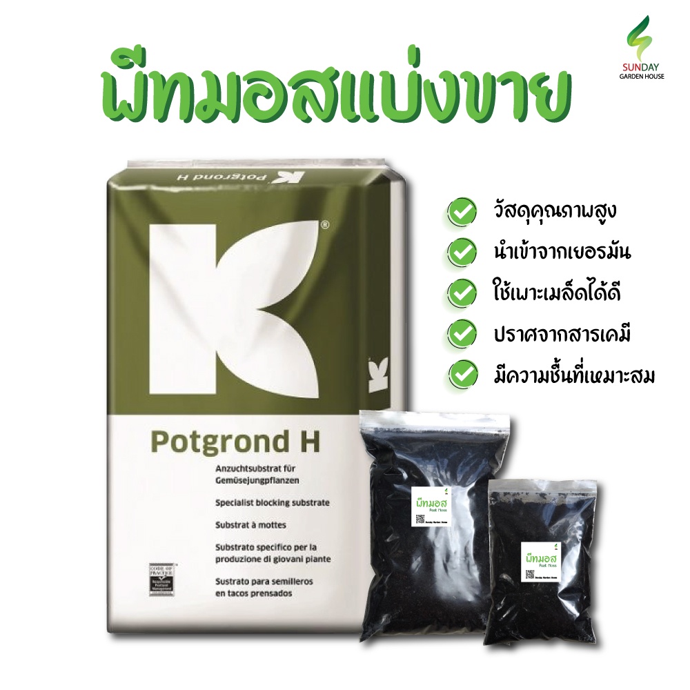 พีทมอสสำหรับเพาะต้นกล้า 1 ลิตร พร้อมส่ง ! Potgrond H(นำเข้าจากเยอรมัน ...