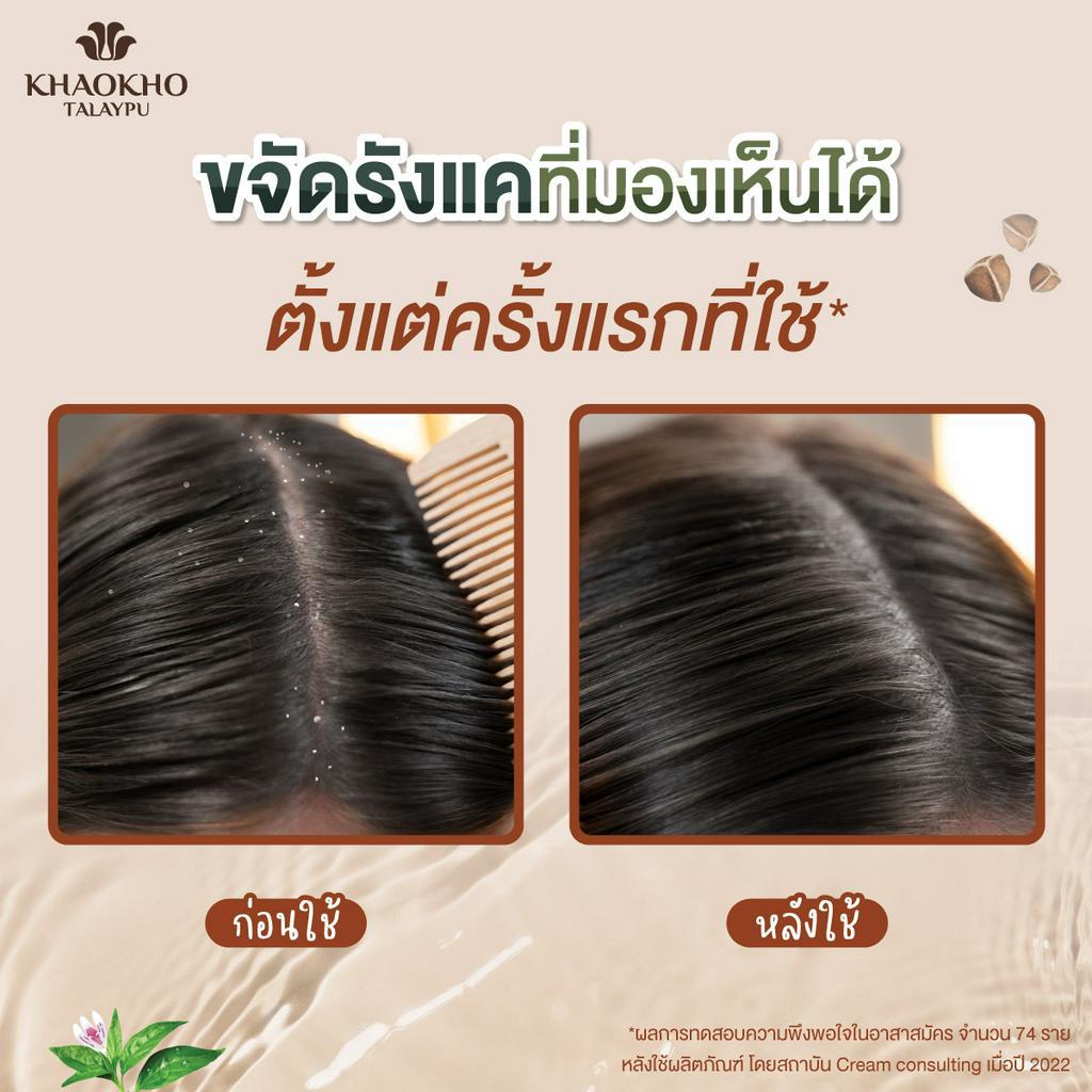 Khaokho Talaypu เขาค้อทะเลภู แชมพู สูตร Soothing & Nourishing ขจัดรังแค ...