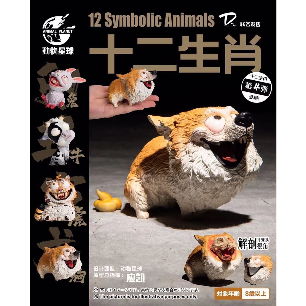 Animal Planet x D2 : Zodiac Dog - Corgi | Shopee Thailand