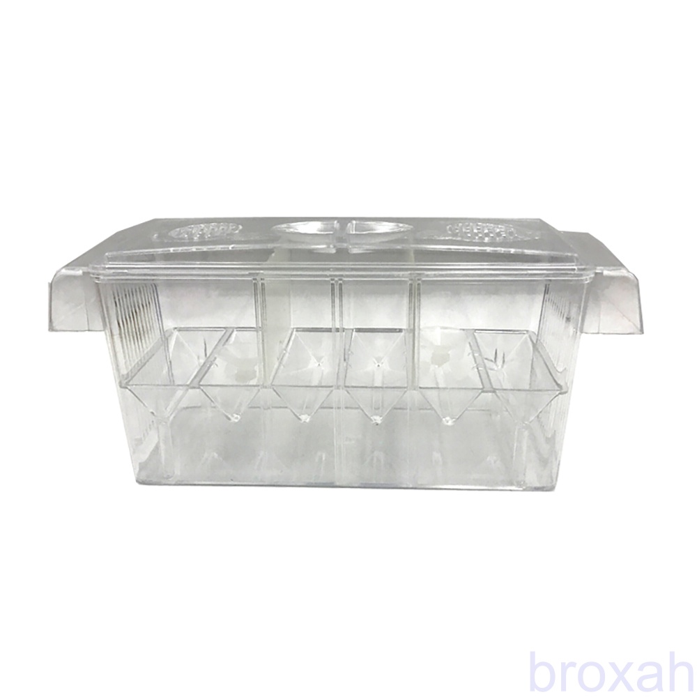 BR-Fish Breeding Box Aquarium Breeder Box Fish Baby Hatchery Incubator ...