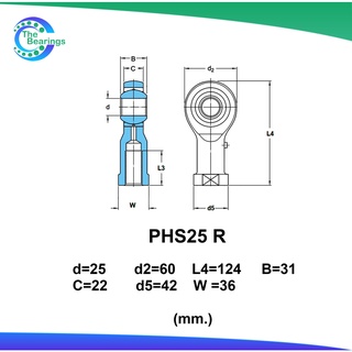 PHS25 ลูกปืนตาเหลือก ตัวเมีย เกลียวขวา ลูกหมากคันชัก RODEND ขนาดเพลา 25 ...