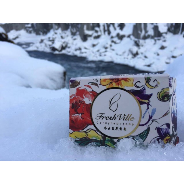 สบู่ทองคำเห็ดถั่งเช่า Fresh Ville คืนความอ่อนเยาว์ ขาวเนียนอย่างเป็น ...